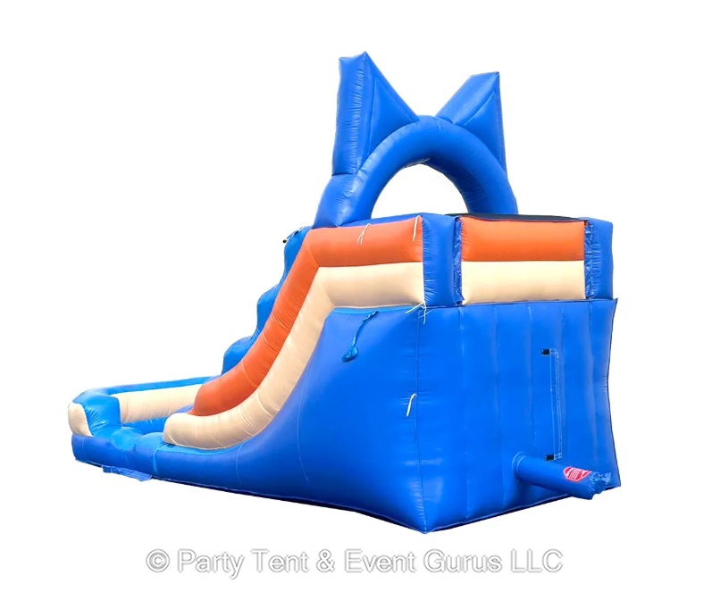 14 Foot Bluey Themed Water Slide - Rent in Houston and Surrounding ...